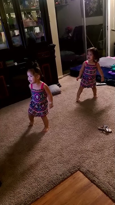 twin girls doing the whip and nae nae - YouTube