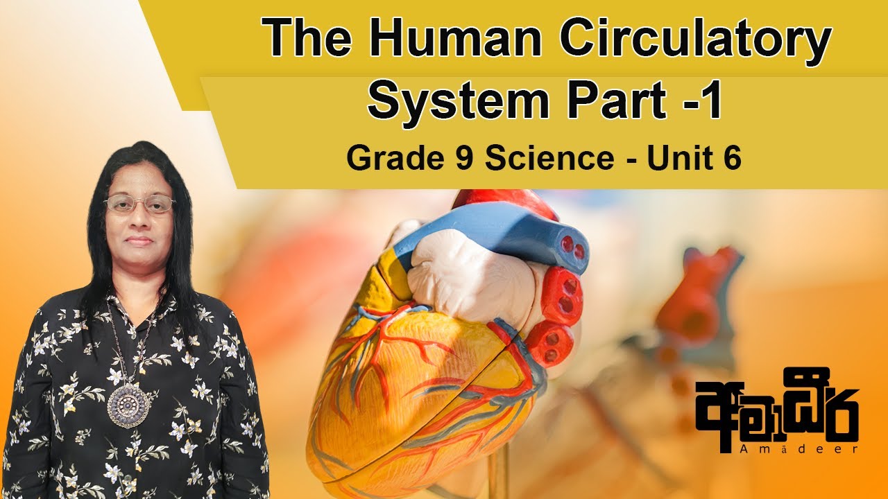 The Human Circulatory System - Part 1 | Grade 9 Science - Unit 6 - YouTube