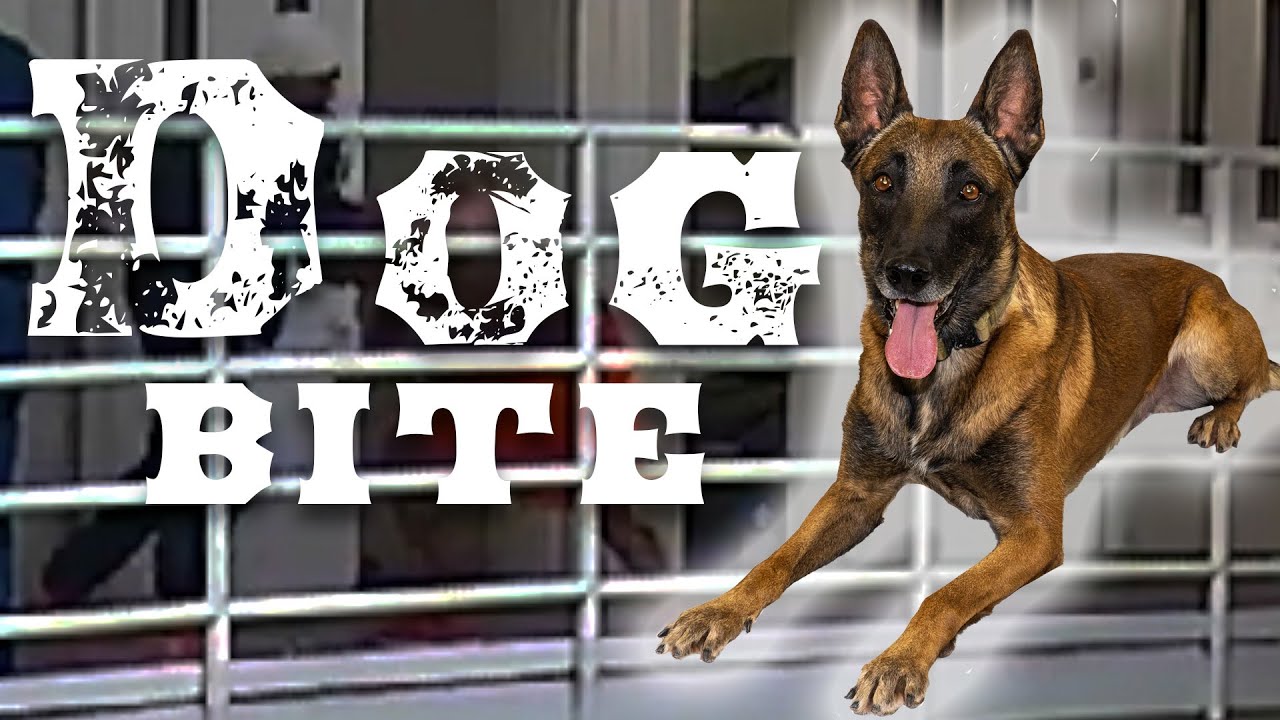 Behind The Bars 1: K9 Bite - YouTube