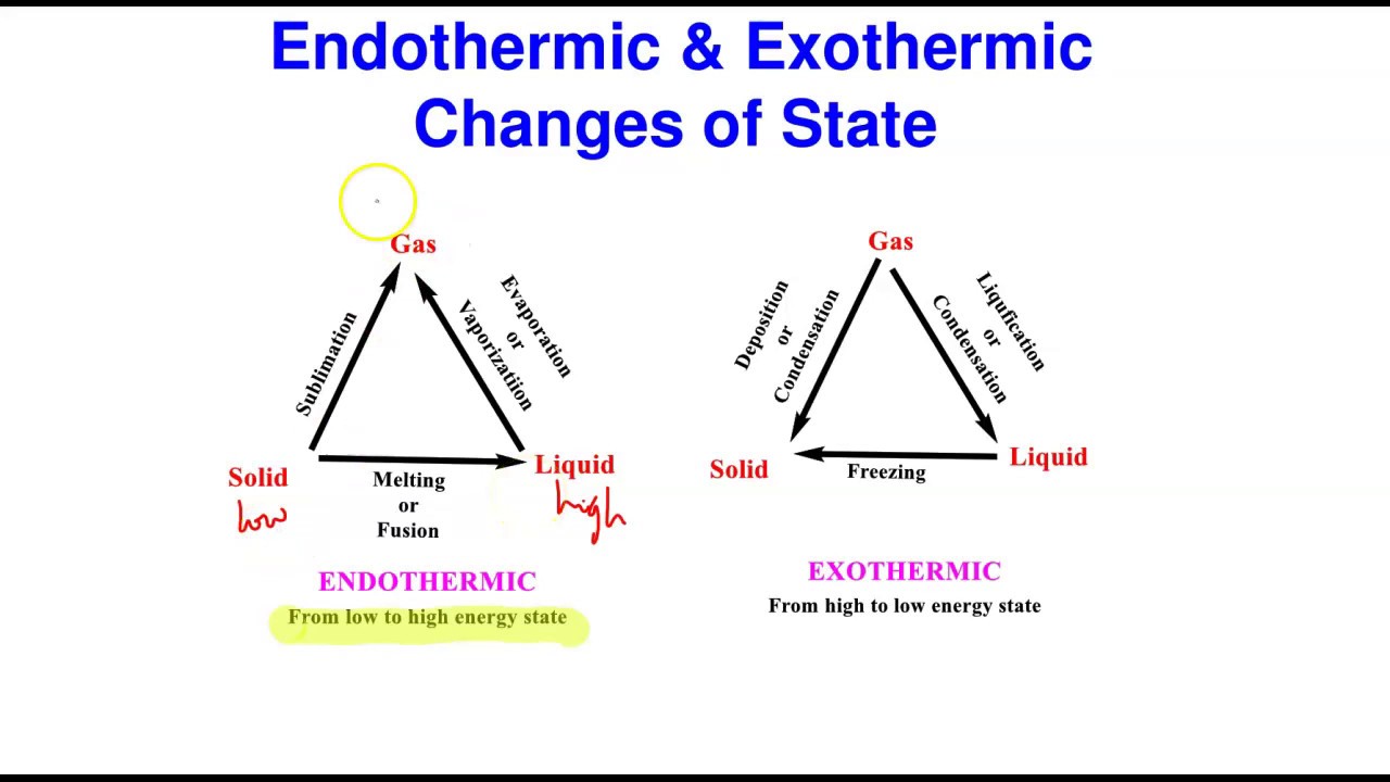 Physical States of Matter - YouTube