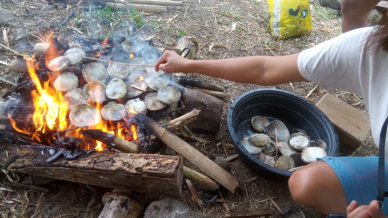 pangunguha Ng lampirong sa dalampasigan/farmy official - YouTube