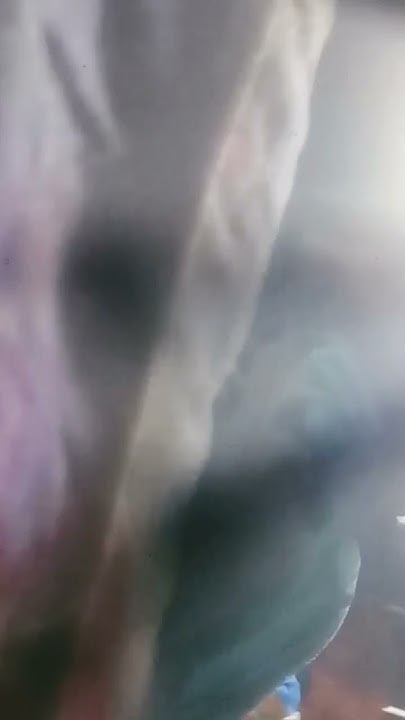 20 tháng 7, 2024 - YouTube