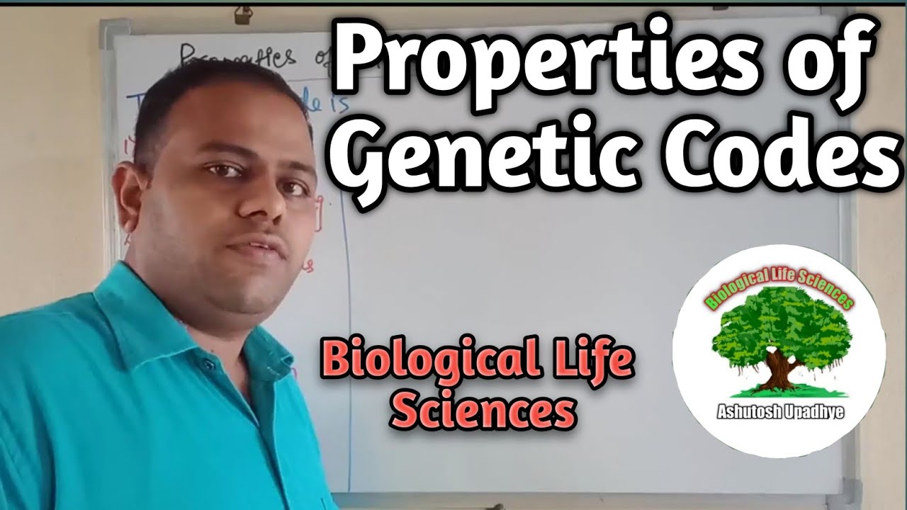 Properties of Genetic Codes - YouTube