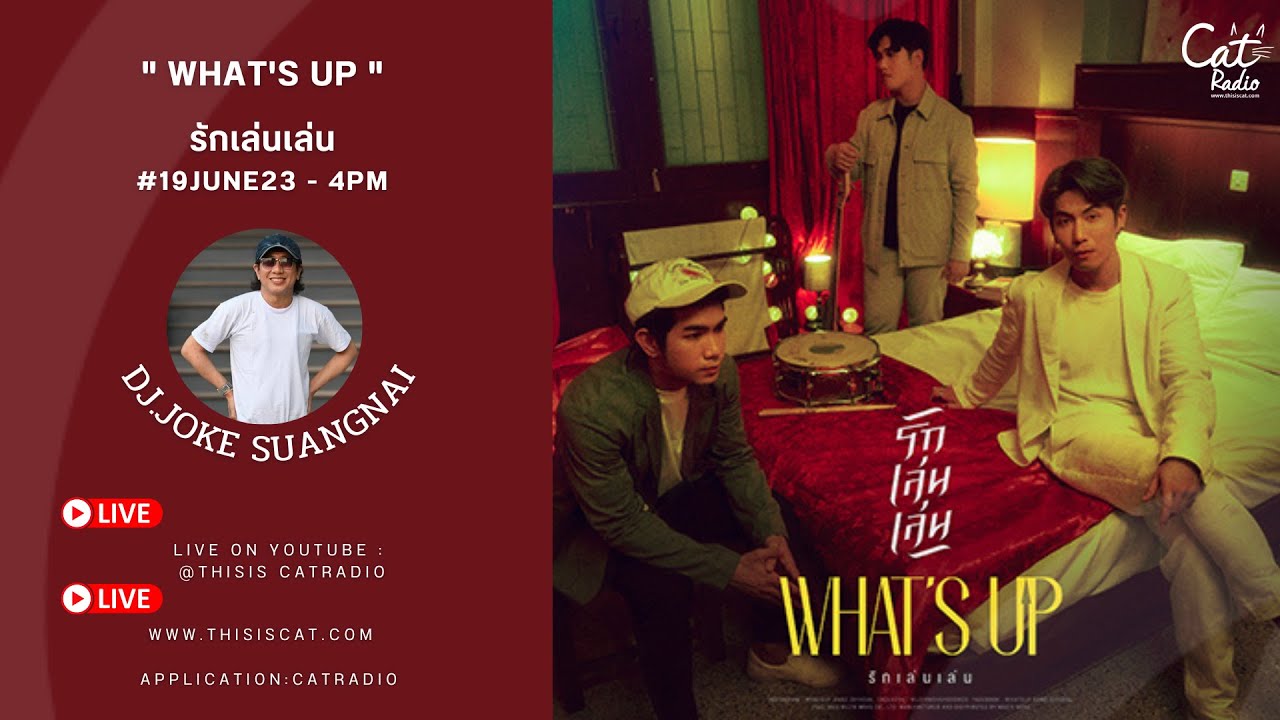 CAT INTERVIEW "WHAT'S UP" - YouTube