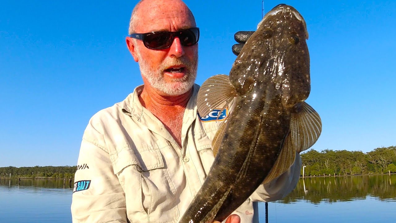 FLATHEAD FISHING: HOW TO FISH ROCK WALLS & OYSTER RACKS: SURPRISE JEW ...