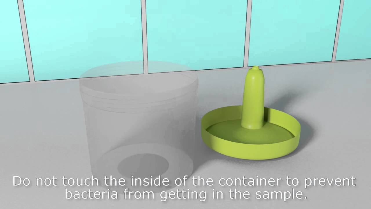 Mid Stream Urine Sample Women YouTube mid-stream-urine-sample-women-youtube