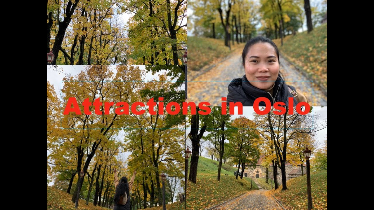 Attractions in Oslo || Autumn || Fall || Yellow || Leaves || - YouTube