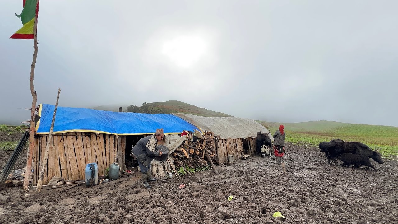 Himalayan Shepherds Daily Life || Very Peaceful And Relaxing Himalayan ...