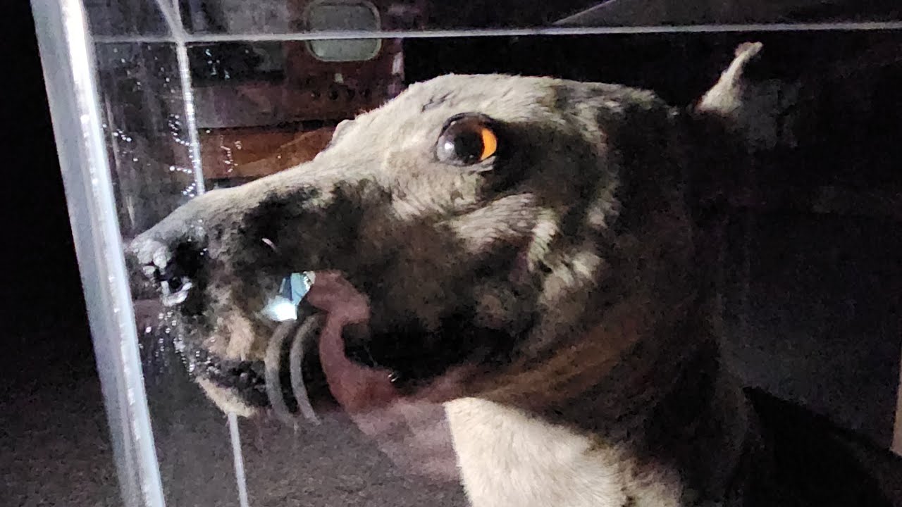 THE SHADOW MAN MUSEUM - PART II - YouTube