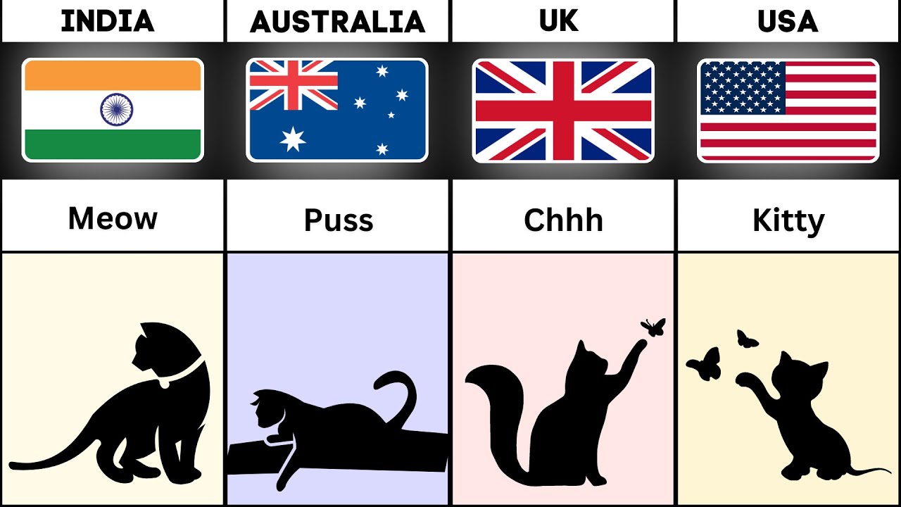 People Call Cats In Different Countries - YouTube