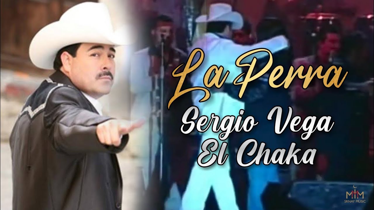 La Perra - Sergio Vega (Video Lyric) - YouTube