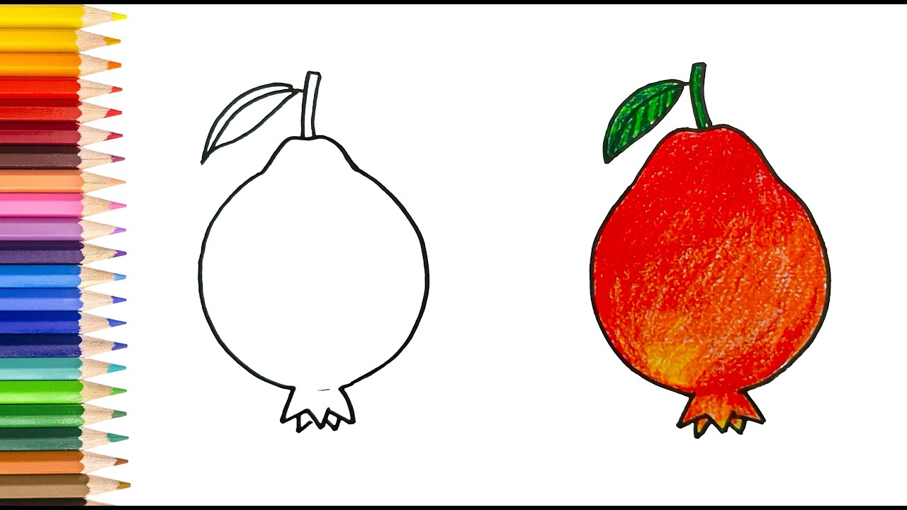 How to Draw Pomegranate Easy | ডালিম আঁকা - YouTube