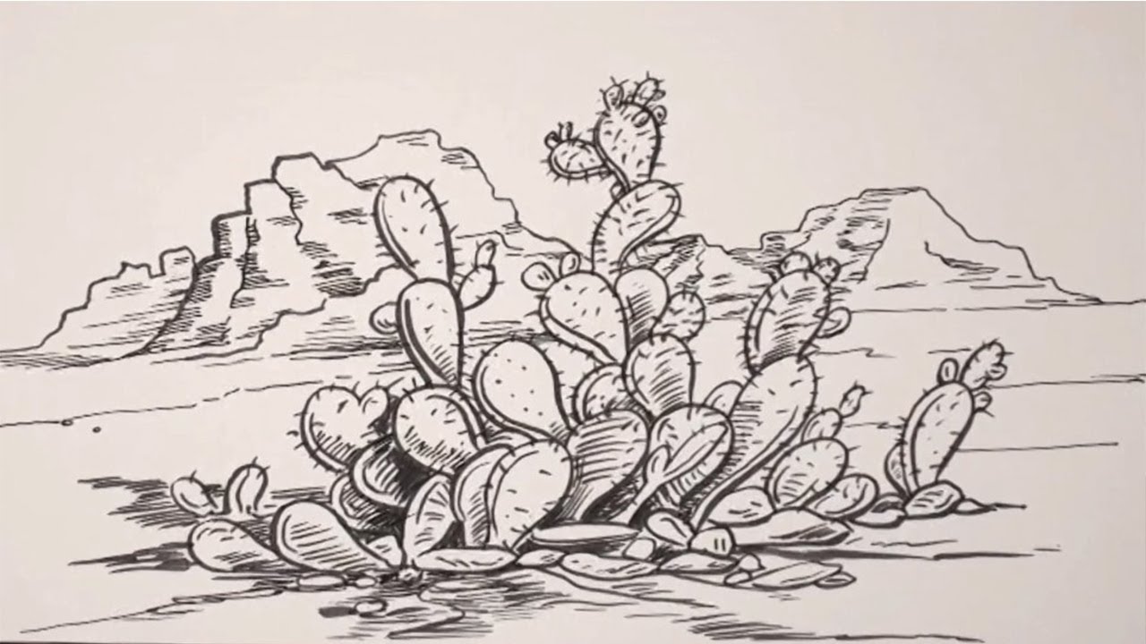 How to draw Cactus with Desert Scenery Background - YouTube