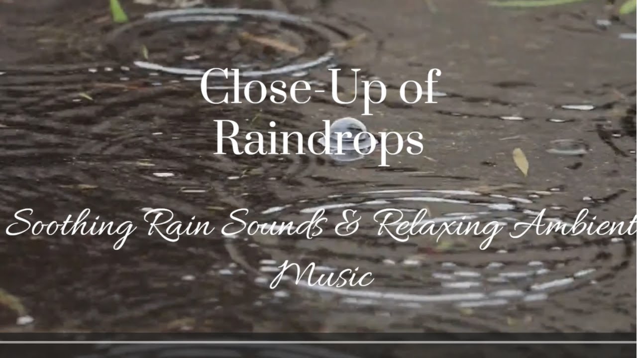 Close-Up of Raindrops 🌧 | Soothing Rain Sounds & Relaxing Ambient Music ...