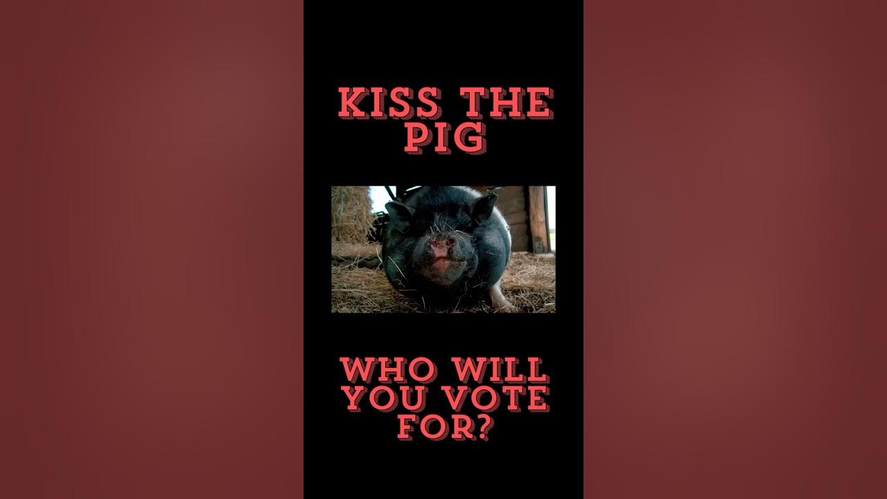 Vote for Kiss the Pig 2024!!!! - YouTube