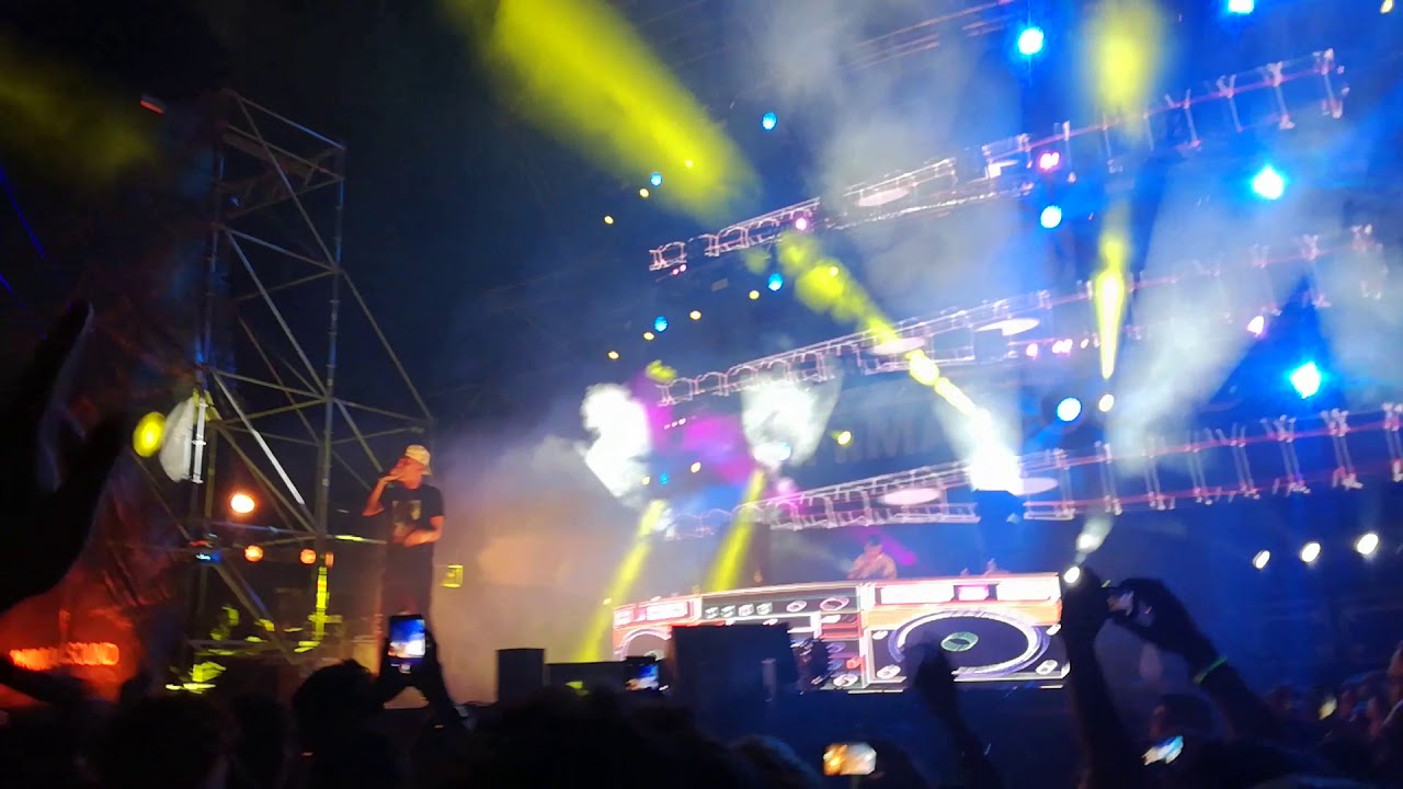 Arce - Cholo - Animal Sound - YouTube