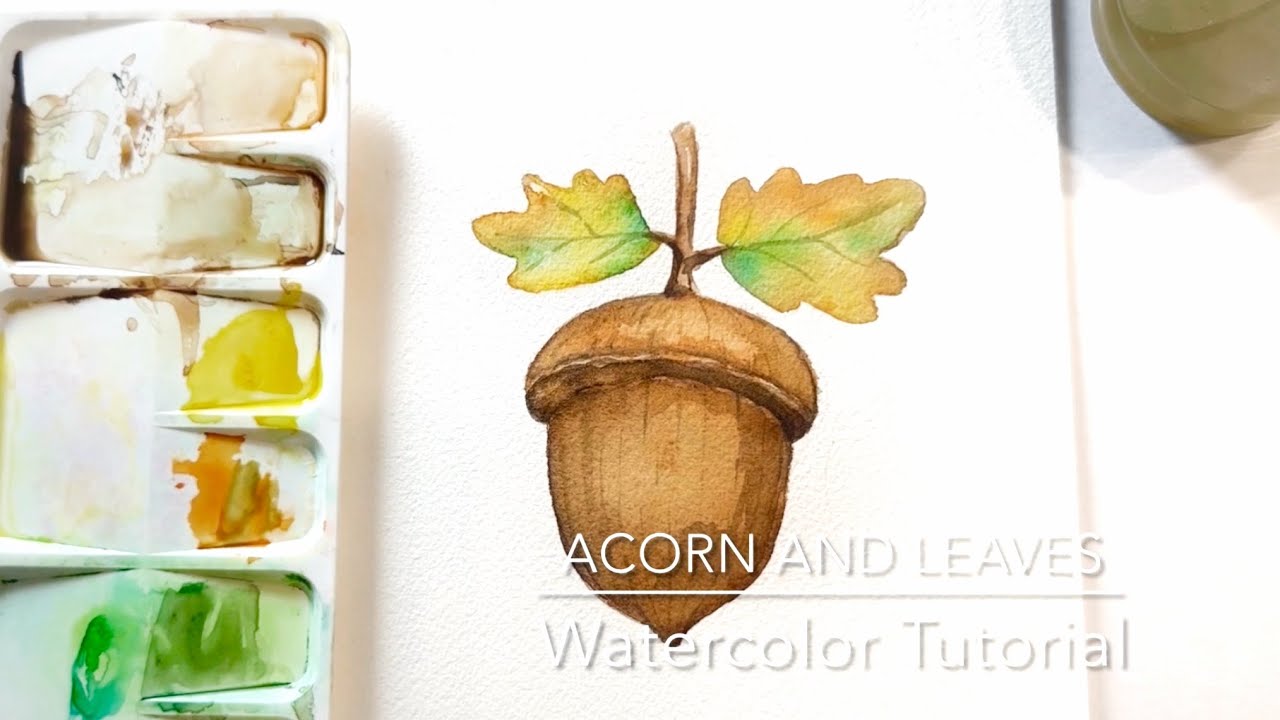 ACORN Watercolor Tutorial - beginner friendly - YouTube