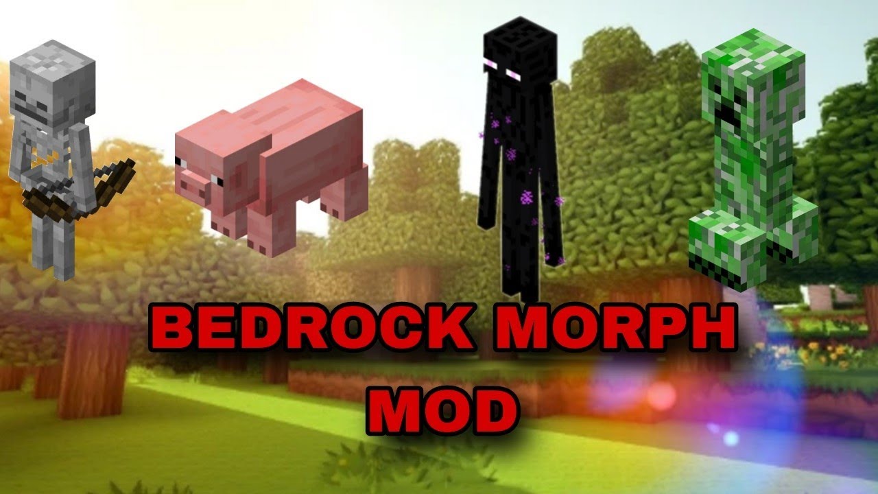 *NEW* BEST MORPH MOD FOR MINECRAFT BEDROCK EDITION! - YouTube