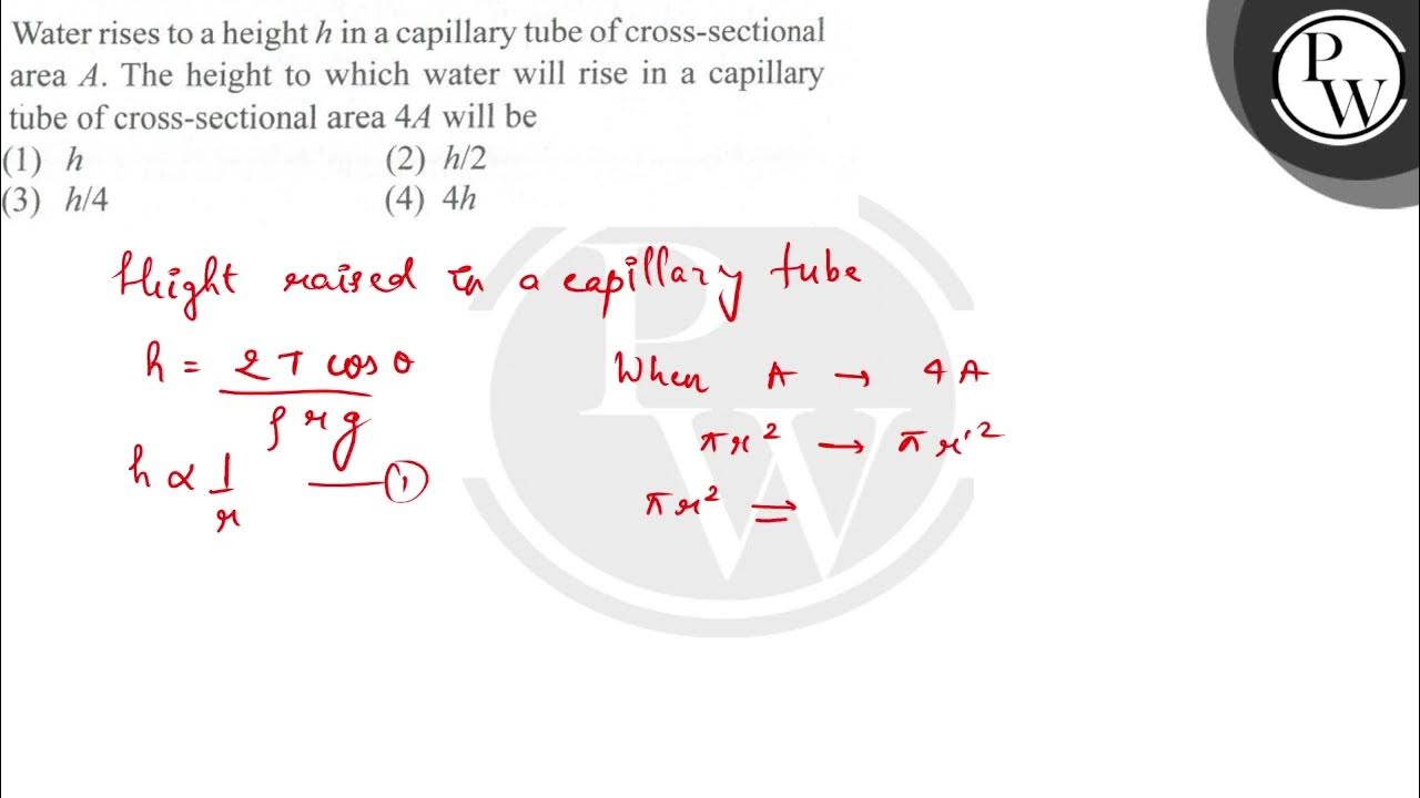 Water Rises To A Height H In A Capillary Tube Of Cross sectional water-rises-to-a-height-h-in-a-capillary-tube-of-cross-sectional