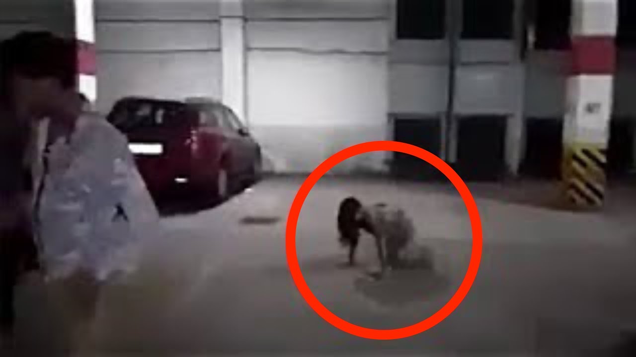 Top 15 Scariest Videos Ever Caught on Camera - YouTube