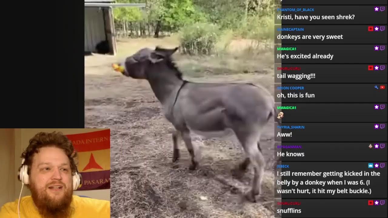 ShoeOnHead vs. MorgPie & Amouranth /// Other Stuff Possibly - YouTube