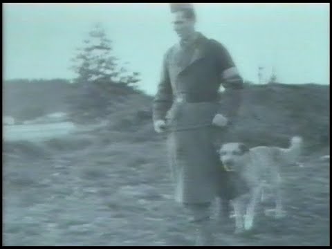 Förväntningarnas Tid - E01 Öppnade Gränser (SVT 1985-09-02)