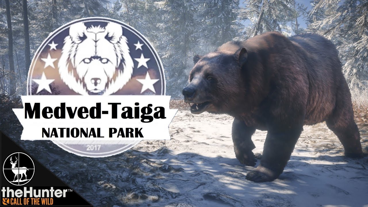 Med-ved Taiga Reserve | ALL Story Missions | theHunter Call of the Wild ...