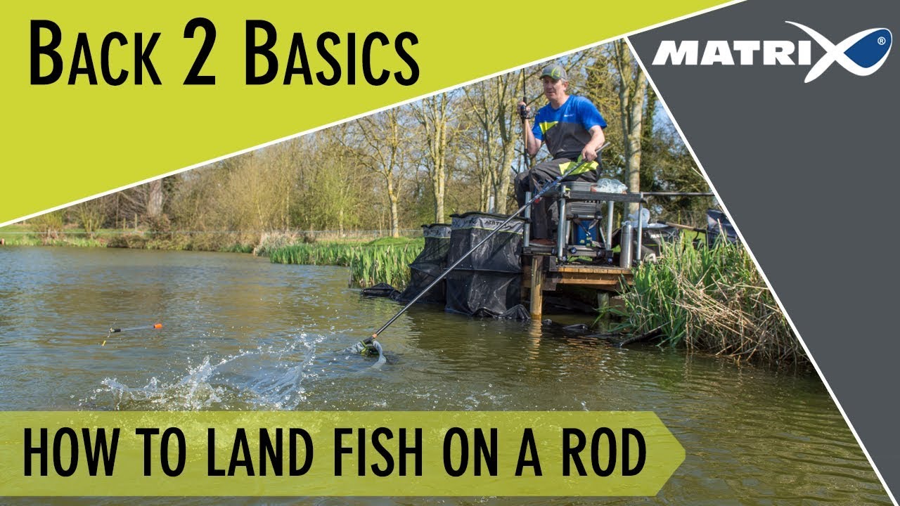 Coarse & Match Fishing TV *** How to land fish on a rod - YouTube
