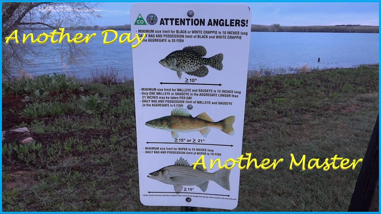 Another day Another Master Angler Walleye!! - YouTube
