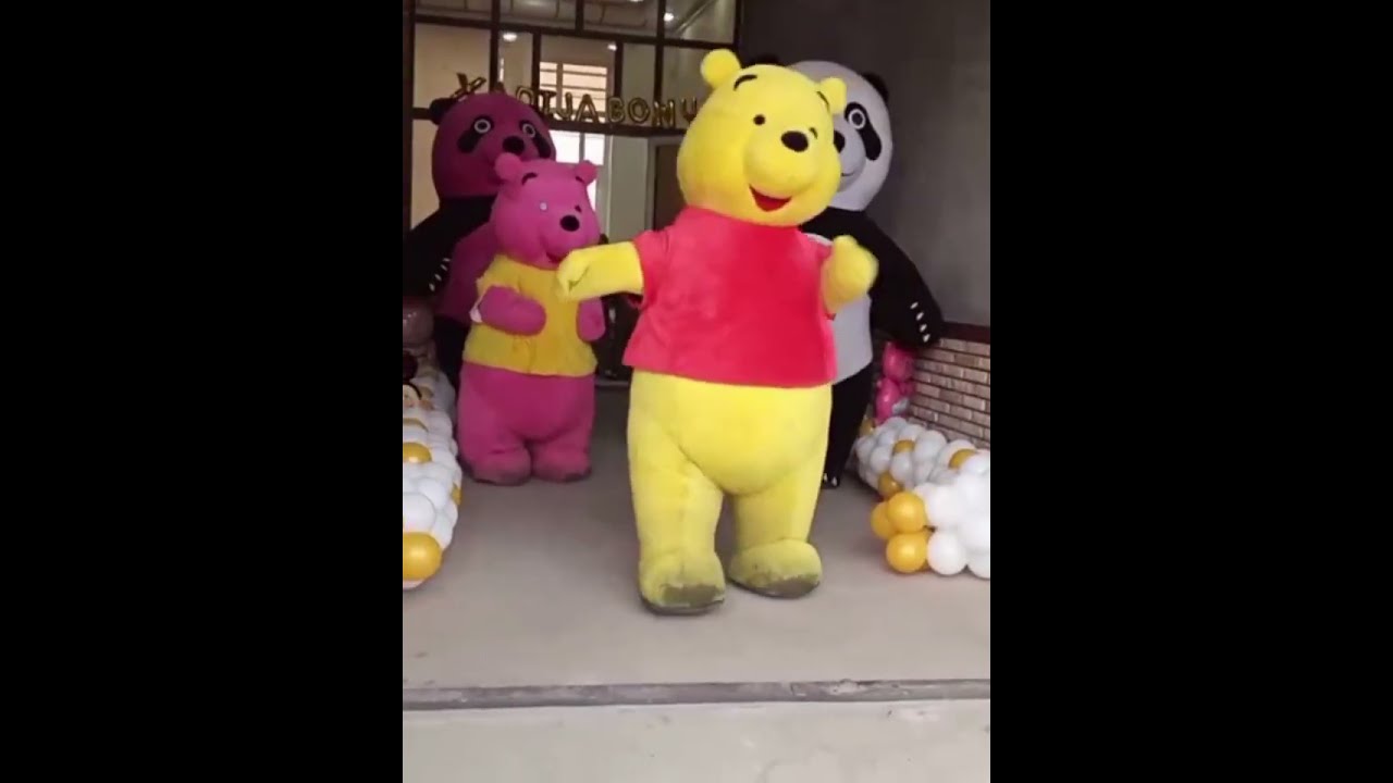 Yoqimtoy ayiqchalar - YouTube