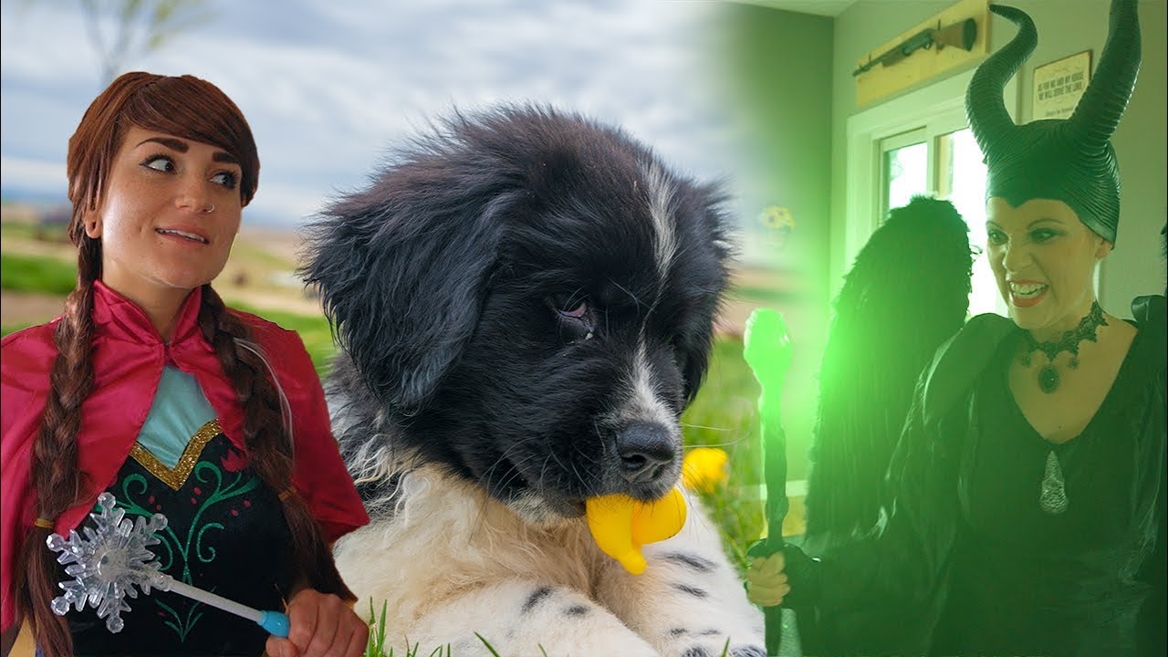 Maleficent and Frozen Anna Bloopers with Ducky the Puppy! - YouTube