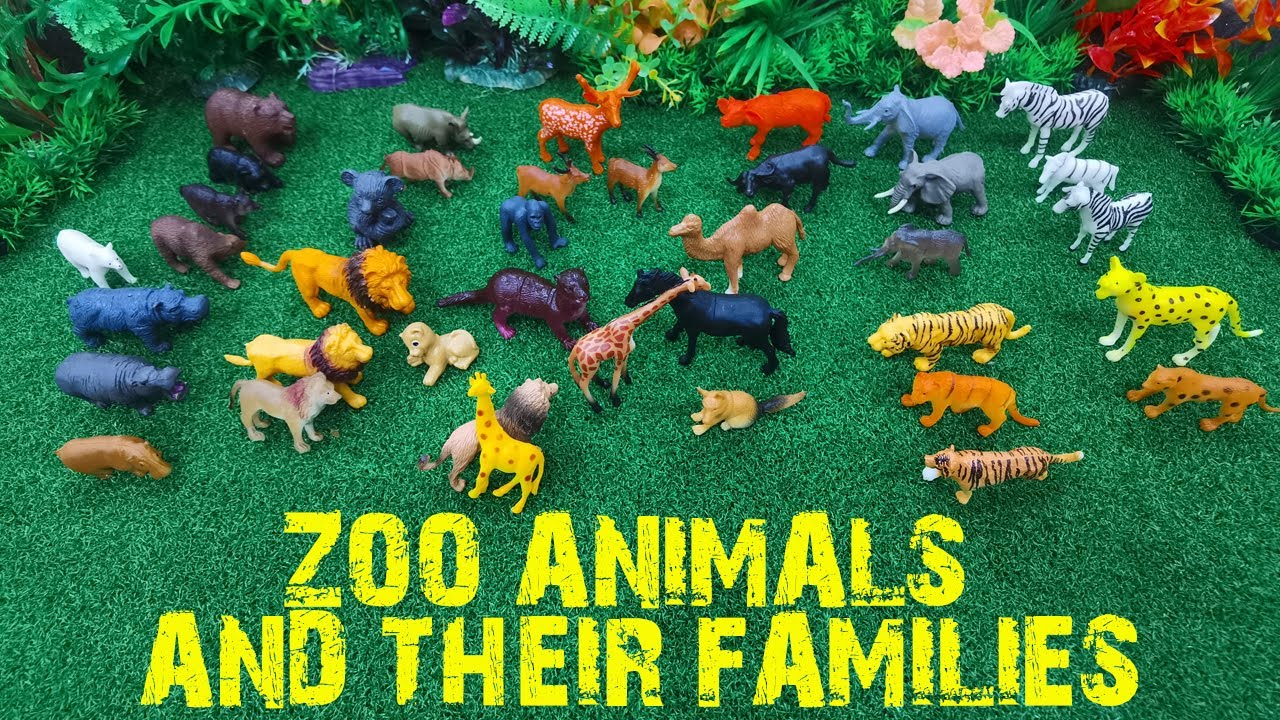 #29 Tame Animal Toys and Wild Animals Toys in Zoo, Toy Animal Names ...