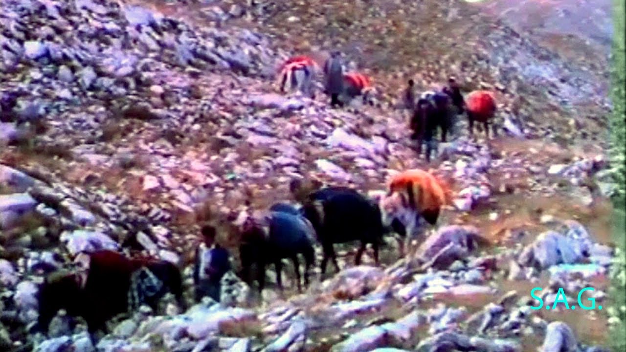 ΣΤΑ ΜΑΝΤΡΙΑ ΤΗΣ ΤΖΟΥΡΤΖΙΑΣ - ΟΔΟΙΠΟΡΙΚΟ ΓΑΡΔΙΚΙ-ΚΑΛΑΡΡΥΤΕΣ - 1989 ...