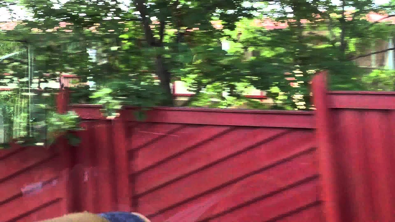IMG 1343 YouTube img-1343-youtube