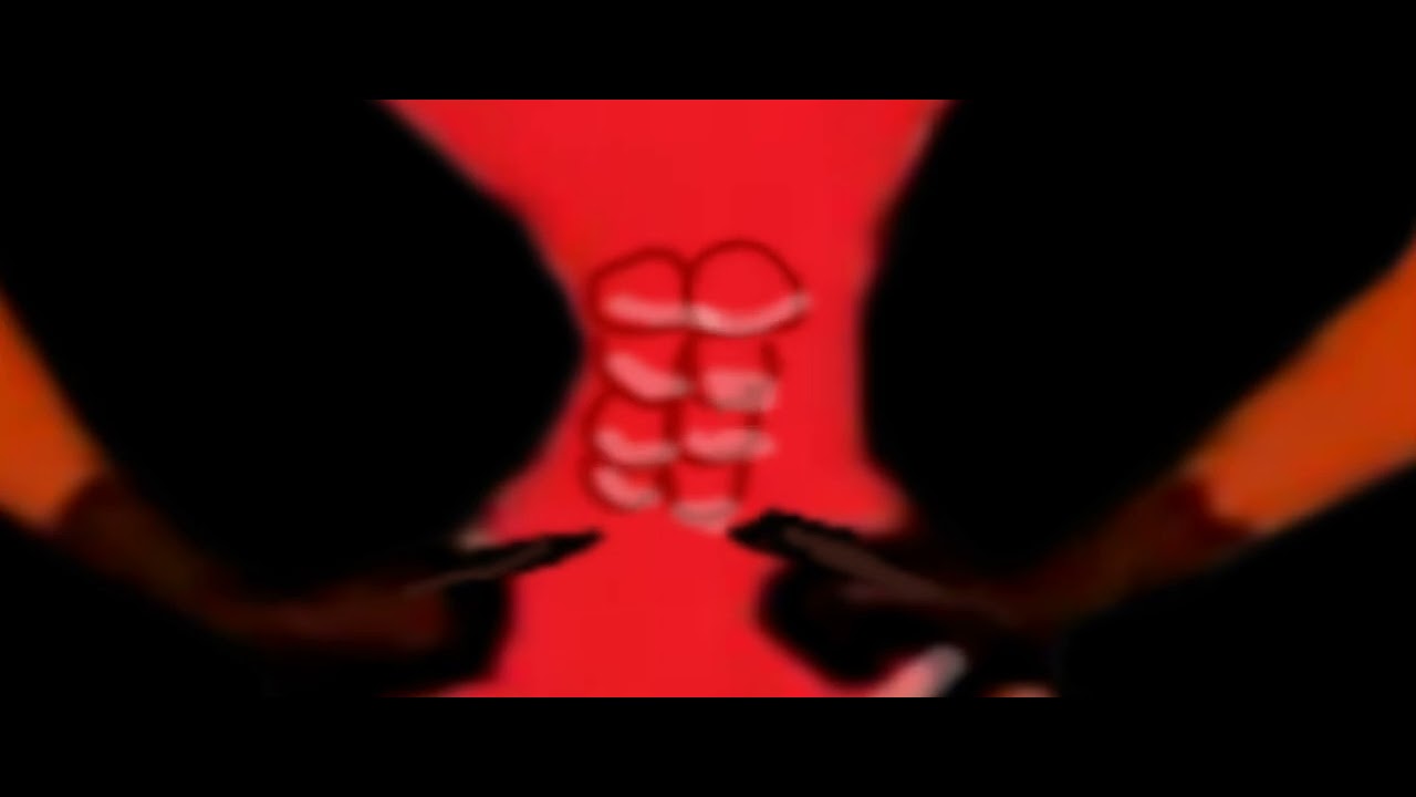 skunk fu fox the greatest muscles strongest in the world - YouTube