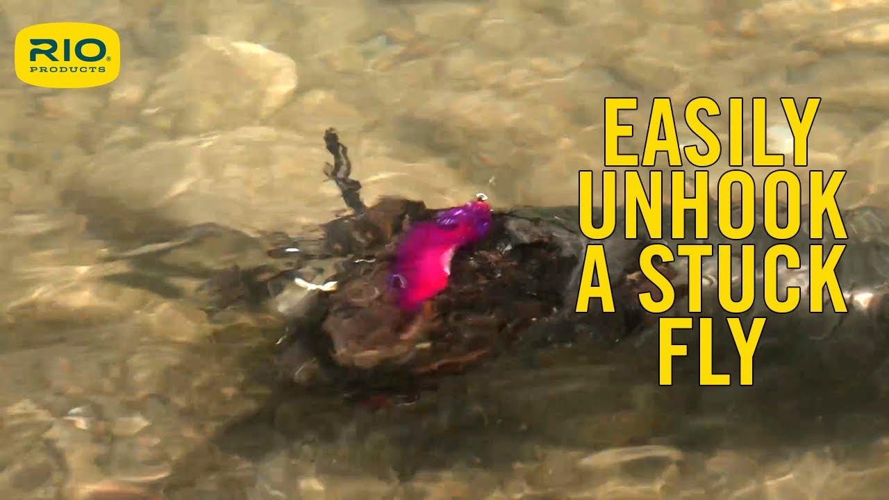 Easily Free A Stuck Fly From The Bottom - YouTube