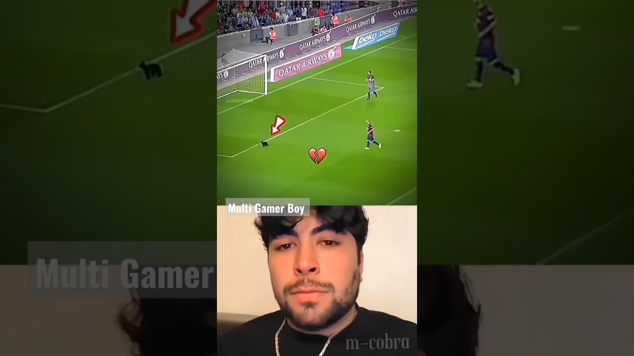 Footballer Cat Bombastic | Multi Gamer Boy #sigma #viral - YouTube