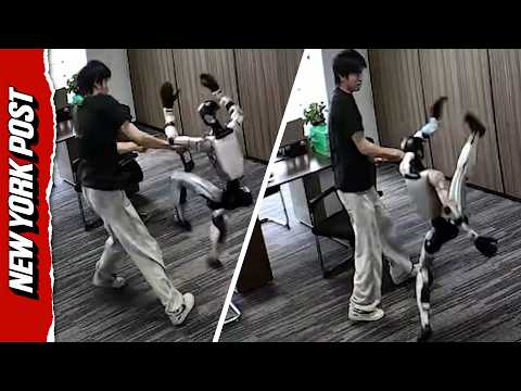 Chinese Robot Launches Flurry of Attacks Against It's Developer
