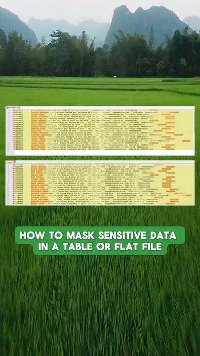 How to mask sensitive data in a single table or file using IRI FieldShield #tutorial # ...