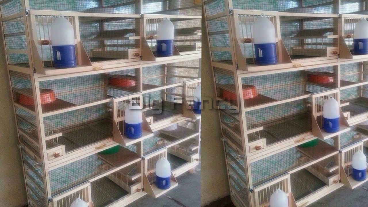 New wood cage design breeding pigeons - outdoor cage designs / pigeon ...
