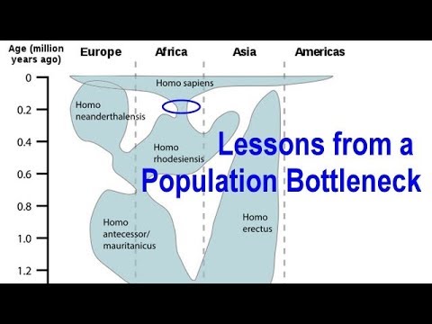 Lessons from a Population Bottleneck - YouTube