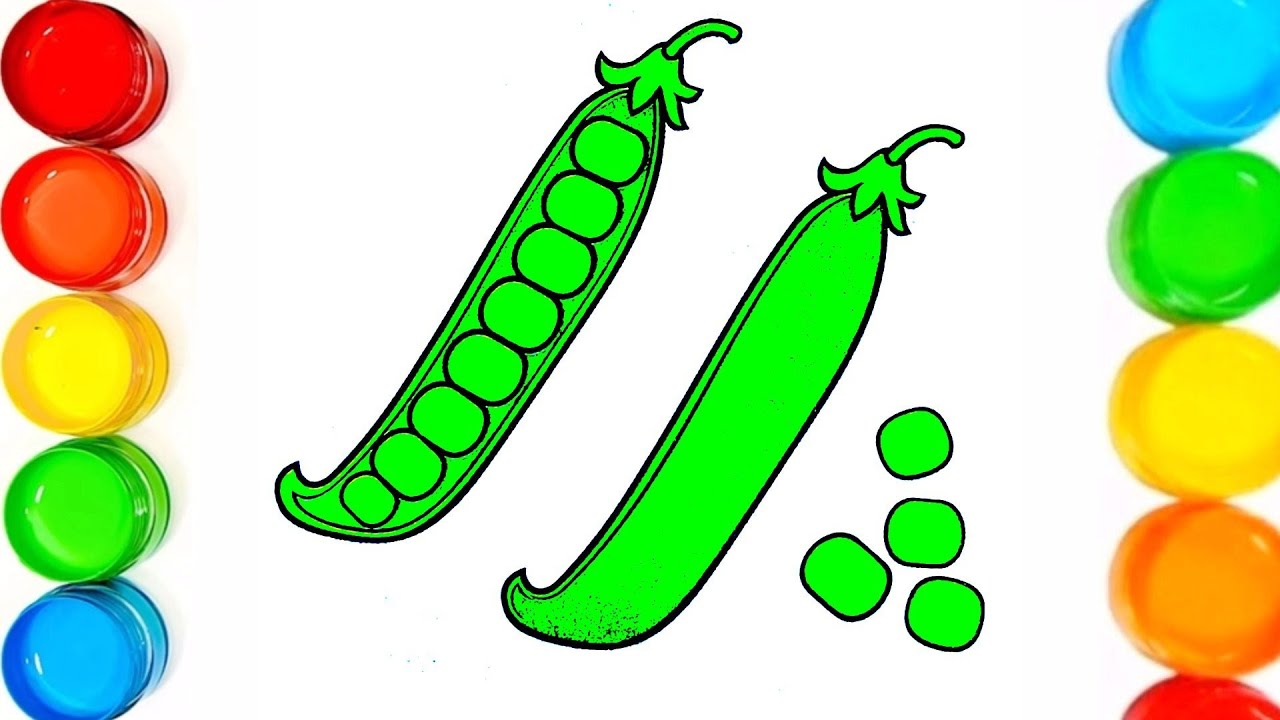 How to Draw a Beans | Drawing for beginners - Step by step | (@Leena ...