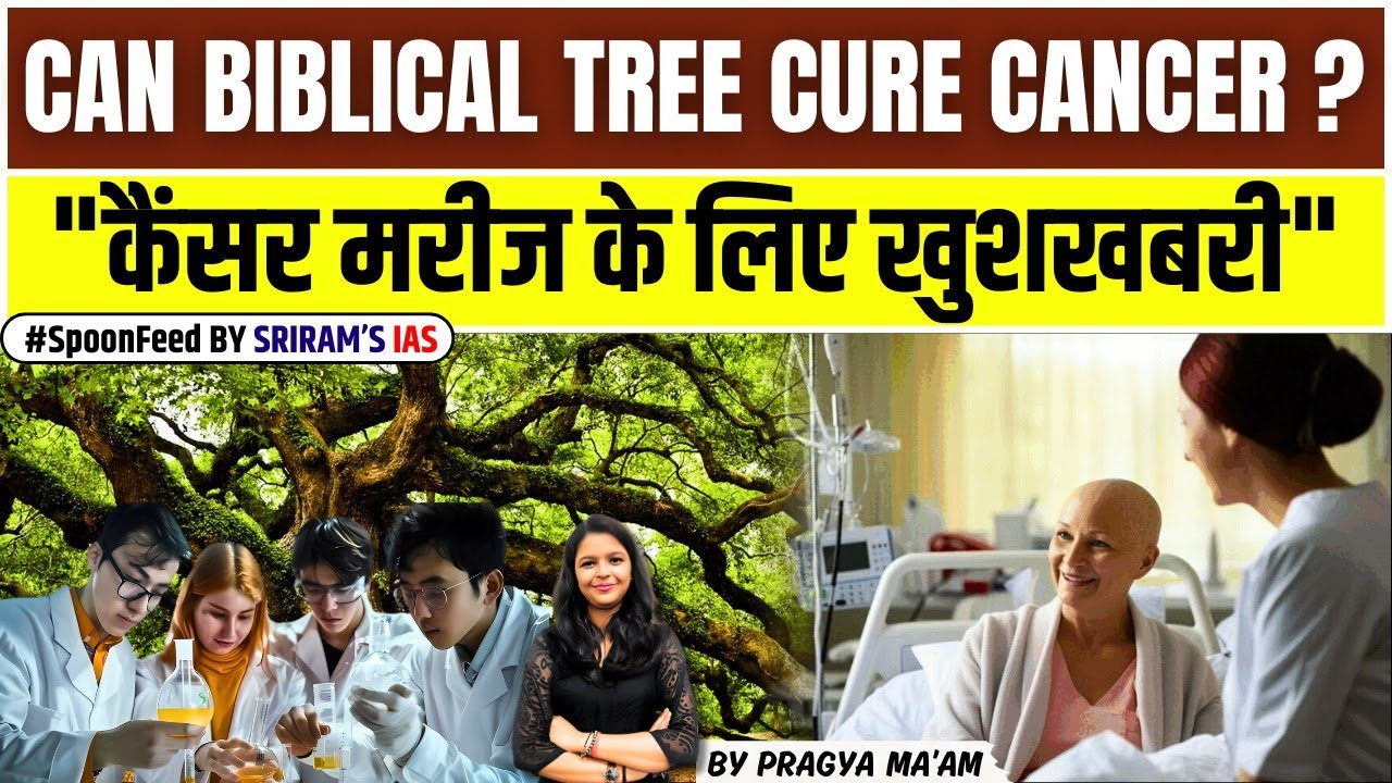 Can Biblical Tree cure Cancer? कैंसर मरीज के लिए खुशखबरी | Latest News ...