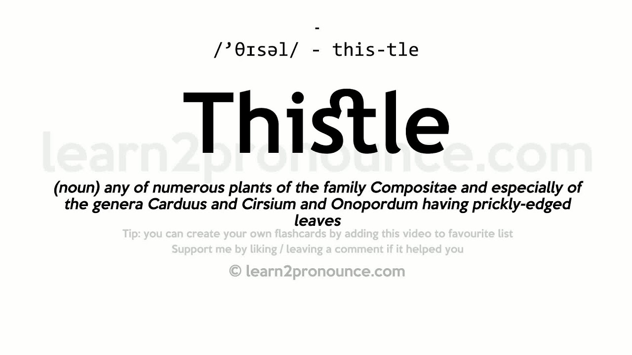 Thistle pronunciation and definition - YouTube