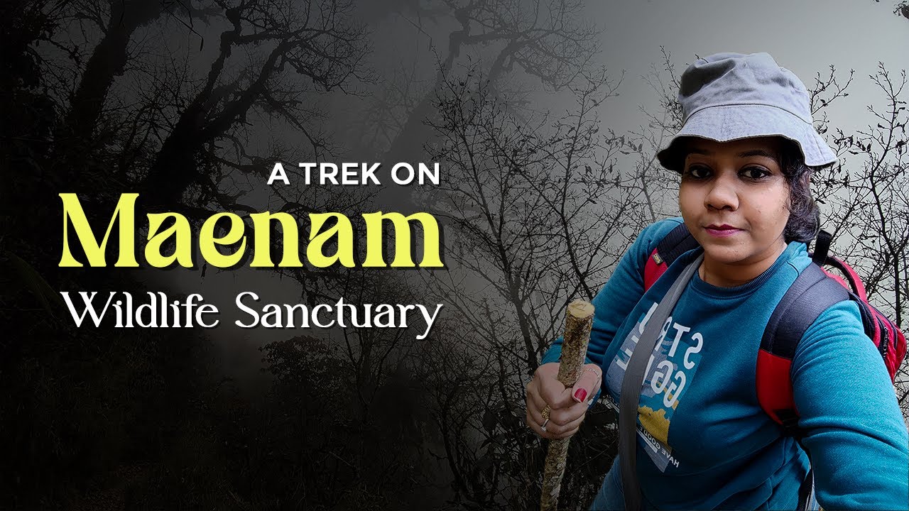 Maenam Hill Trek || Maenam Wildlife Sanctuary || Ravangla || Best Place for Short Trekking in ...