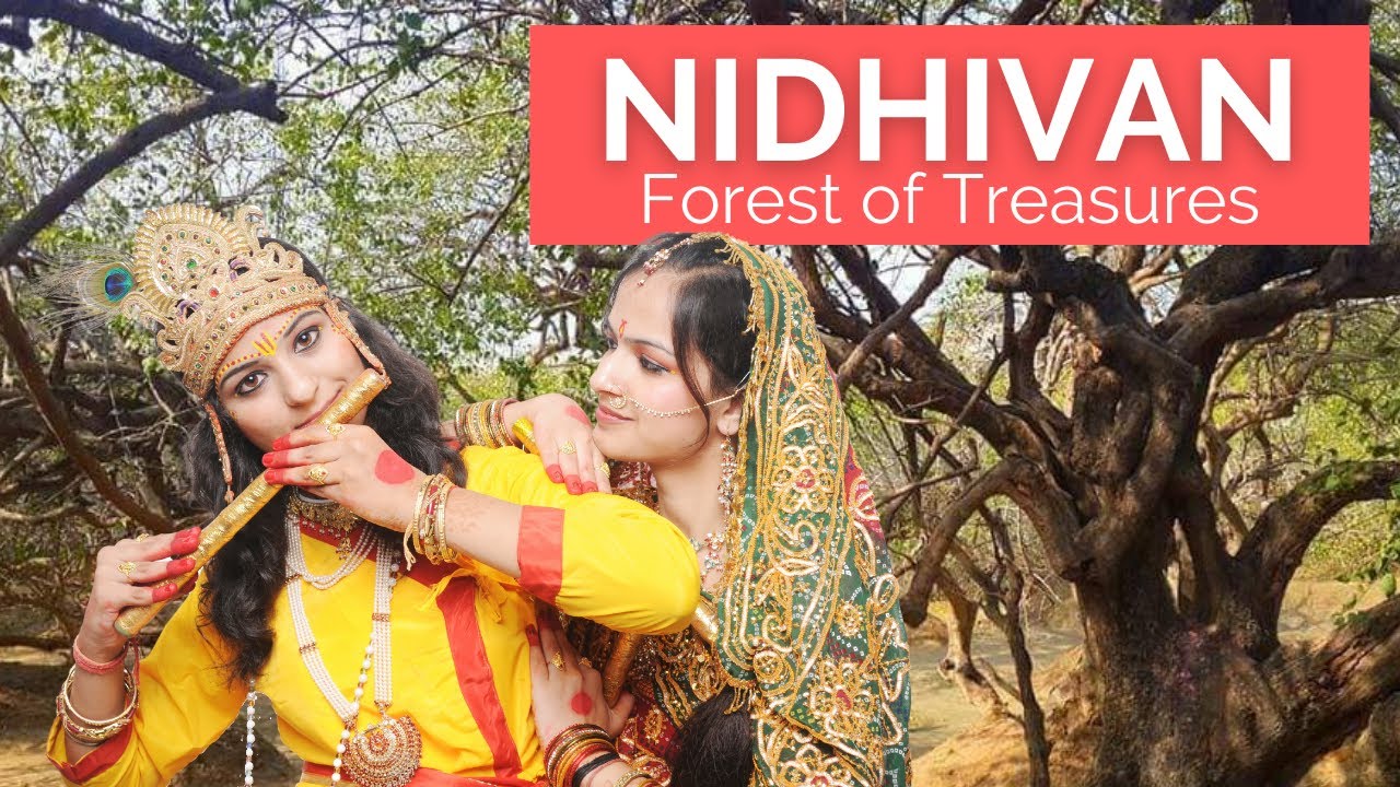 NIDHIVAN - The ENCHANTED forest of TREASURES where KRISHNA & RADHA play ...