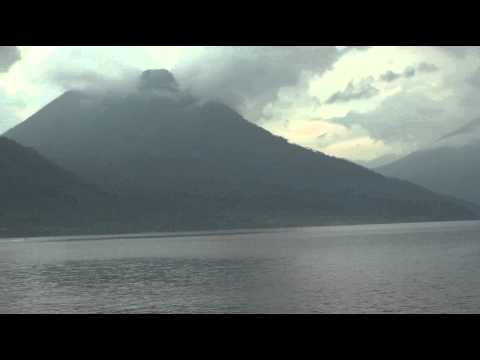 Webb James - Indonesia habitat noce