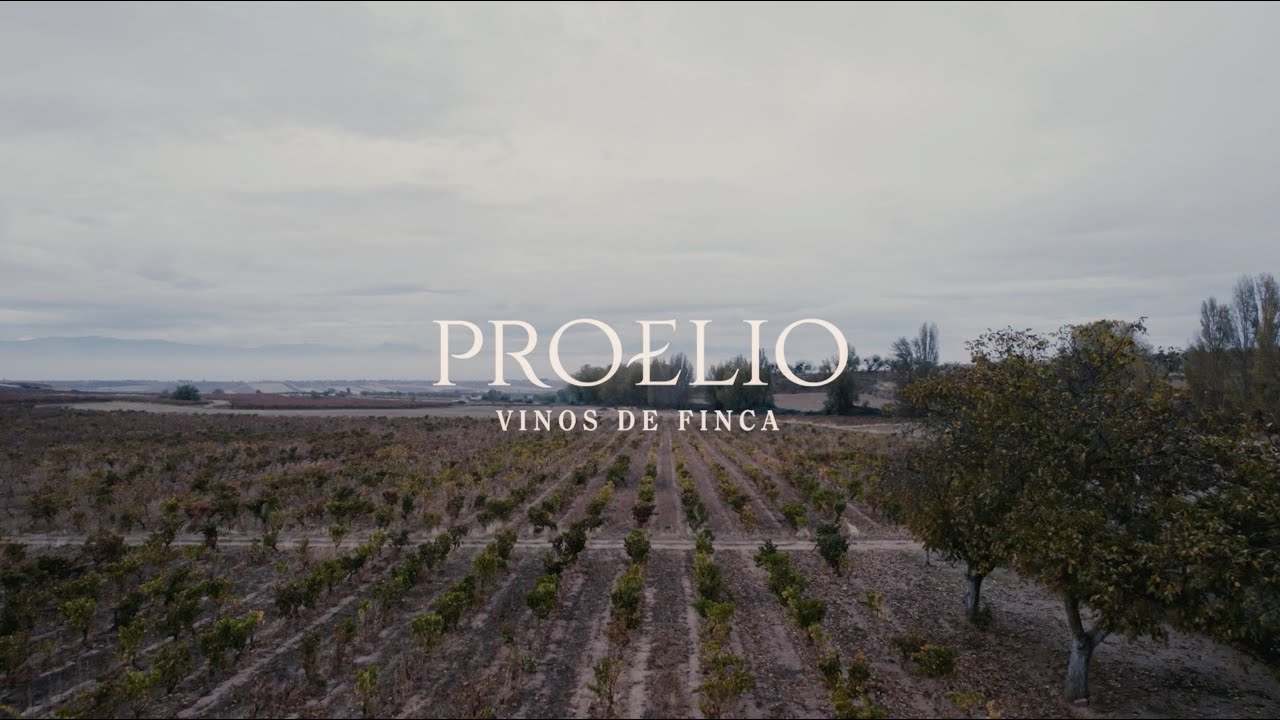 VIDEO PROELIO 2023 - YouTube