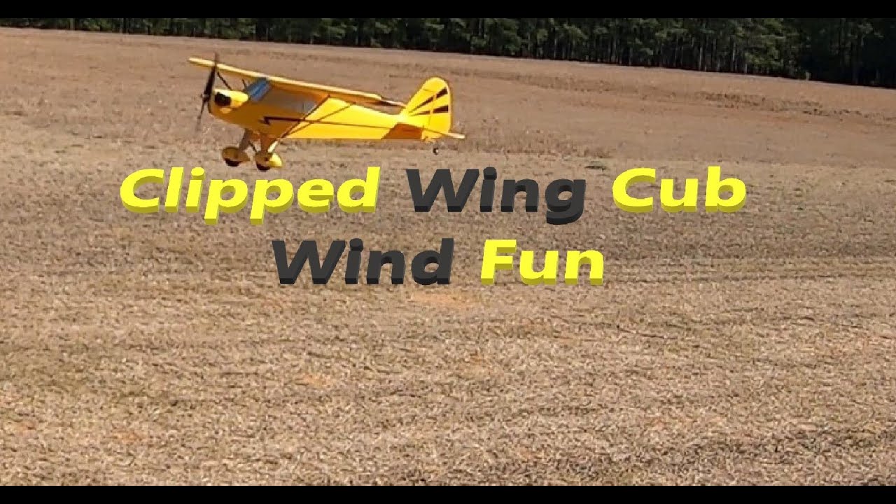 Clipped Wing Cub Slight Breeze LA Sortie - YouTube