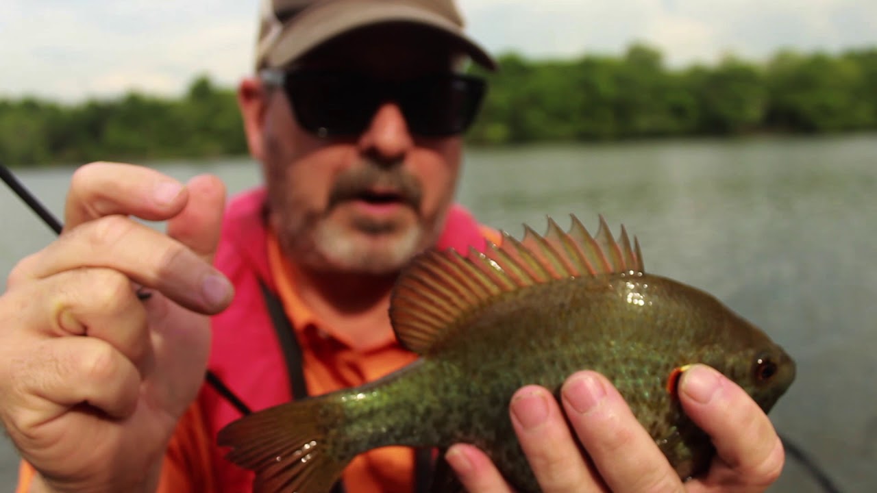 TWRA VLOG - Shellcracker Fishing - YouTube